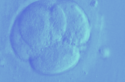 Embryo freezing - Extend Fertility