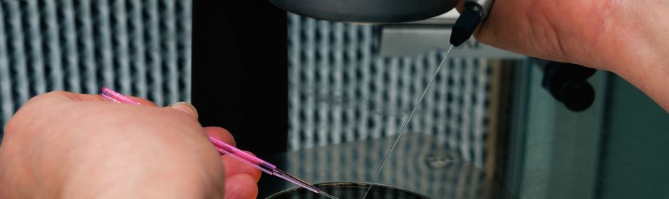 What’s the difference between slow freezing and vitrification?